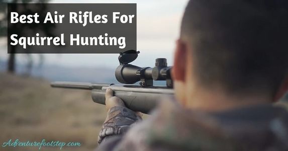 The 4 Best Air Rifles for Squirrel Hunting in 2021 Reviews