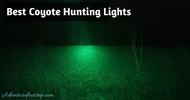 The 4 Best Coyote Hunting Lights Review - 2020 Complete Buyer’s Guide