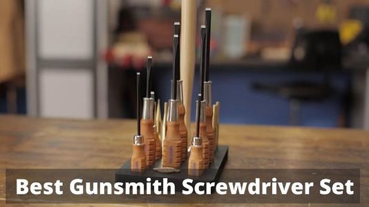Top 5 Best Gunsmith Screwdriver Sets 2021 Reviews: AdventureFootstep