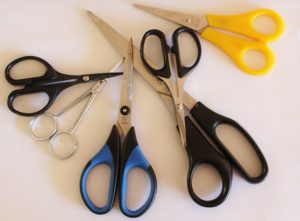 Top 7 Best Game Shears 2021 Reviews: [AdventureFootstep]
