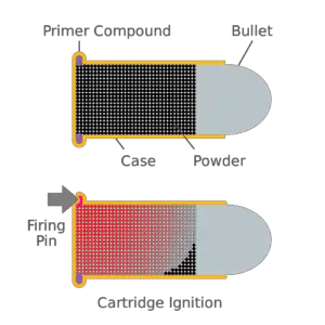 Rimfire Vs Centerfire - What Is The Main Difference? [AdventureFootstep]